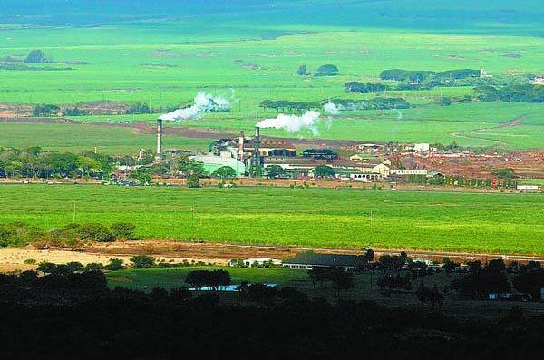 Sale of Puunene Mill has artist scrambling | News, Sports, Jobs - Maui News